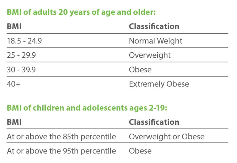 Overweight and Obesity in America – ProgressiveHealth